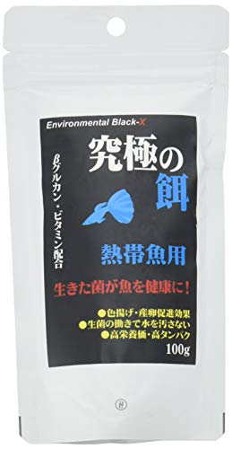 無し/100グラム (x 1)/-・パッケージ個数:1・本体サイズ (幅X奥行X高さ) :99×45×192cm・本体重量 :100g・原産国 :日本商品紹介 良嗜好性、高タンパク。生菌の働きで消化吸収を助け水を汚さない熱帯魚用飼料。生菌の...