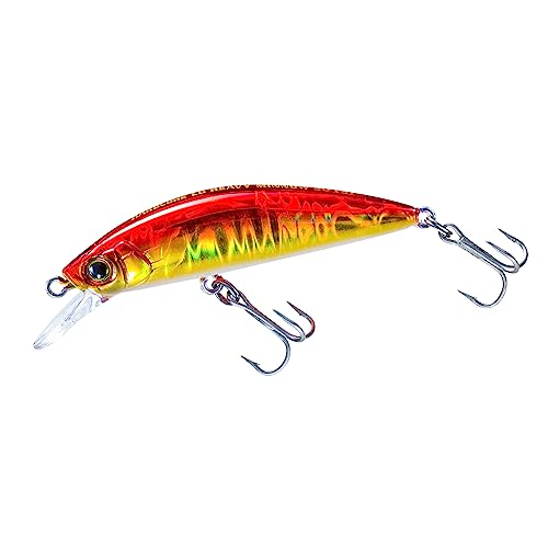 50mmHGR(アカキン)/50mm/F1200-HGR・Color:HGR(アカキン)・パッケージ個数:1・Size: 50mm・Weight: 6g・Ring#: 1・Hook#: 12・Distance: Max40mぶっ飛びヘビーミ...