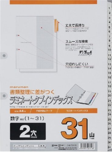 1組×1冊-/1~31/LT4231S・Size:1~31Style:1組×1冊PatternName:単品・パッケージ個数:1・見出し部分はラミネート加工で、1~31までの数字入りです。・【サイズ】A4サイズ(2穴) (縦300×横220...