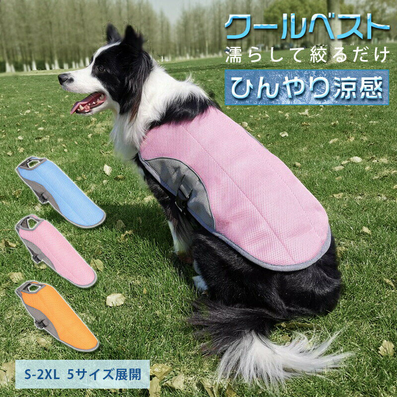 商品情報商品仕様材質: PVA色: ブルー、ピンク、オレンジサイズ: S、M、L、XL、XXL内容：1 × 犬の冷却ベストポイント【高品質の素材】表層は通気性のあるメッシュで、通気性がよく、外部からの熱を減らすことができます。中層はパークコ...