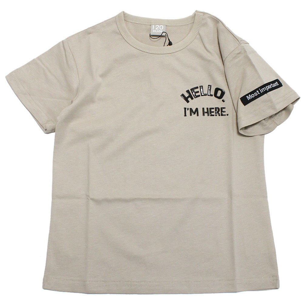 “ディラッシュ”のプリントTシャツバックに写真プリントを施した1着。フロントはラバープリントで立体的な仕上がり。コーデを選ばないアイテムで着回しにも◎ボディは滑らかなはだざわりのコットン天竺です。本体　綿100%リブ部分　綿95%　ポリウレ...