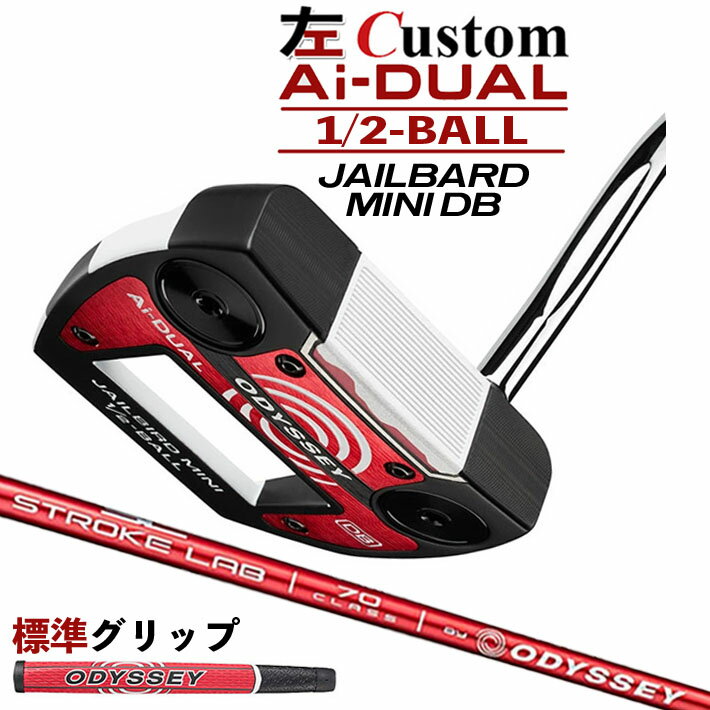 クリスマス バレンタイン プレゼント お正月 お歳暮 誕生日 お中元 記念日 入学 卒業 祝い 内祝い 就職 こどもの日 ボーナス 景品 父の日 母の日 敬老の日 アウトドア スポーツ用品 ◆ODESSEY Ai-DUAL 2026 シリー...
