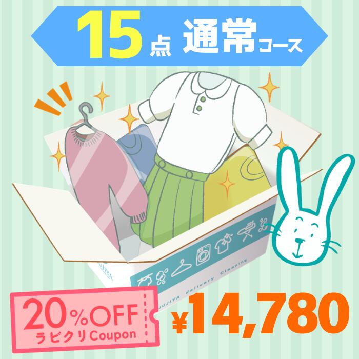 送料無料！最短5営業日スピード仕上げ 最速便コース15 点パック