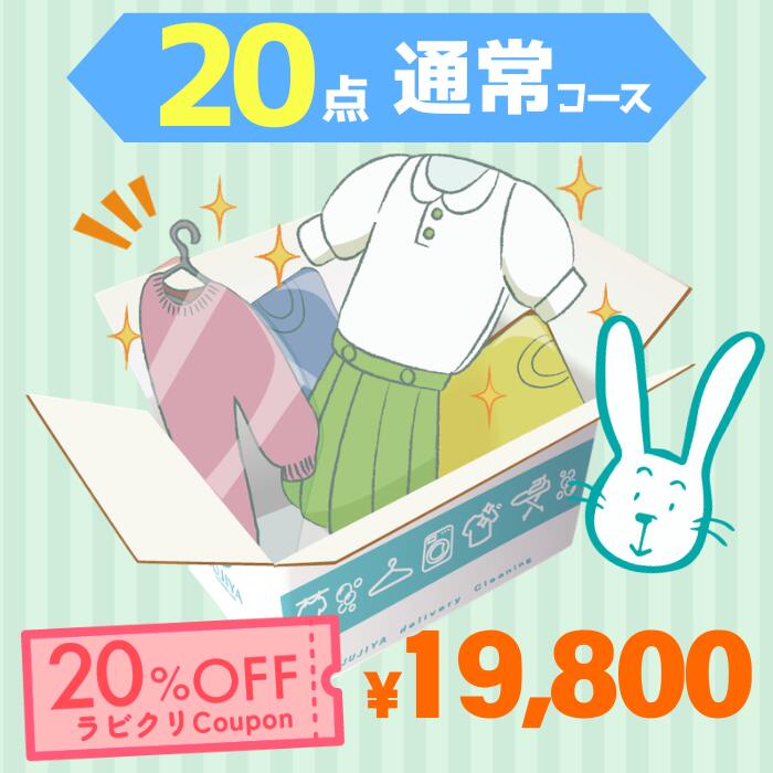 送料無料！最短5営業日スピード仕上げ 最速便コース20 点パック