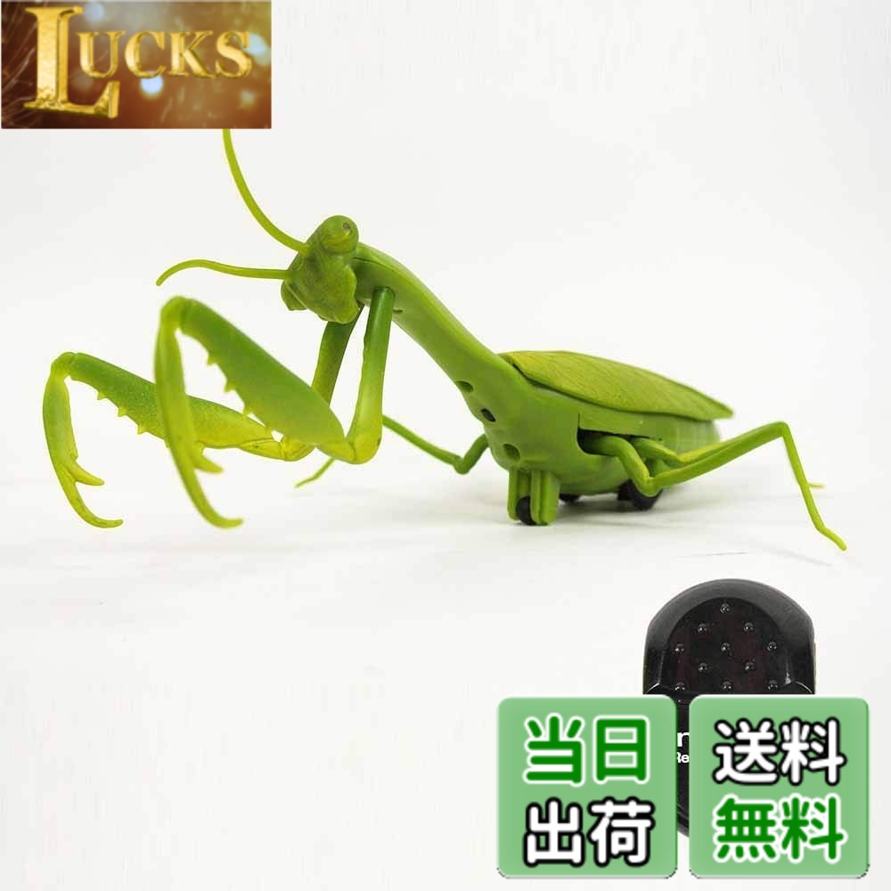 商品情報 商品の説明 説明 「造形が本物そっくり！」 カマキリ型のラジコンです。 都会だとカマキリを捕まえる機会は少なく このラジコンと虫取り網を用意して自宅で昆虫採集ごっこをするのも楽しそう！ リモコン操作で前進や右旋回し、4本の足も動か...
