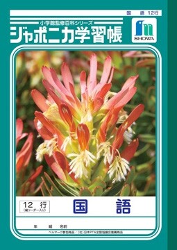 商品名ジャポニカ学習帳 国語 18マス 12行 縦リーダー入り JL-11品番JL-11内容B5判(18マス)、12mm縦罫 12行、縦リ一ダ一入り対象学年3年生 4年生 5年生この商品について 必ずご確認ください配送についてメール便での配...