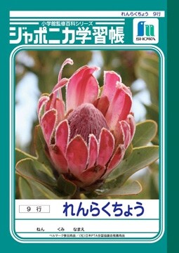商品名ショウワノート ジャポニカ学習帳 連絡帳 A5 9行 JA-68品番JA-68内容A5判(9行)、13mm縦罫対象学年1ねんせい 2ねんせい 3年生特徴ジャポニカ学習帳、れんらくちょう、連絡帳この商品について 必ずご確認ください配送に...