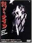 石原裕次郎、小林旭、宍戸錠が共演した日活アクション初期の代表作。原作・脚本ともに石原慎太郎。監督は、男っぽい作品で裕次郎の魅力を生かすのに定評のある舛田利雄。殺人現場を目撃したチンピラたちが、地方都市の権力抗争に巻き込まれていく。殺人をネタ...