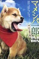 時間 ‏ : ‎ 4 時間 8 分ディスク枚数 ‏ : ‎ 4 大ヒット&大反響につきシーズン3突入! あのマメシバ一郎がまたまた帰ってきた! ★「幼獣マメシバ」「マメシバ一郎」のスタッフが再々結集! 2009年にTVシリーズ放送および劇場...