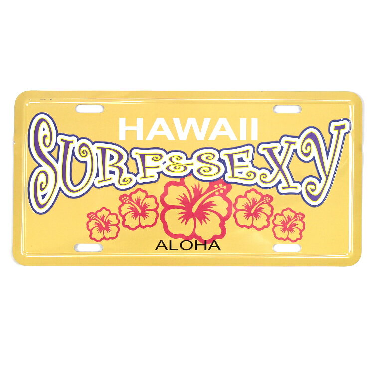 【メール便発送商品です】 追跡可能メール便で発送します。複数点数ご購入・通常配送商品を同時ご購入の場合、送料が変更となる場合がございます。 代金引換・日時指定ご希望の場合は宅配便での発送になります。 アメリカの車のナンバープレートサイズのC...