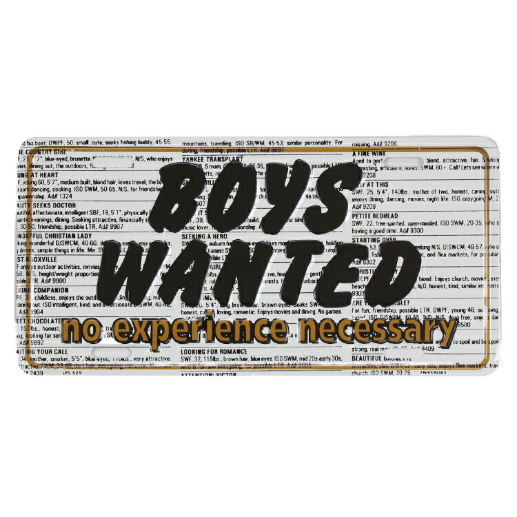 【メール便発送商品です】 追跡可能メール便で発送します。複数点数ご購入・通常配送商品を同時ご購入の場合、送料が変更となる場合がございます。 代金引換・日時指定ご希望の場合は宅配便での発送になります。 アメリカの車のナンバープレートサイズのC...