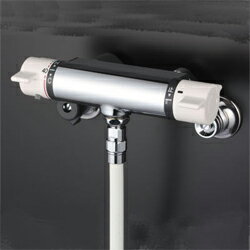 納期目安：お取り寄せ品(詳しくはこちらをクリック) ●シャワー専用形