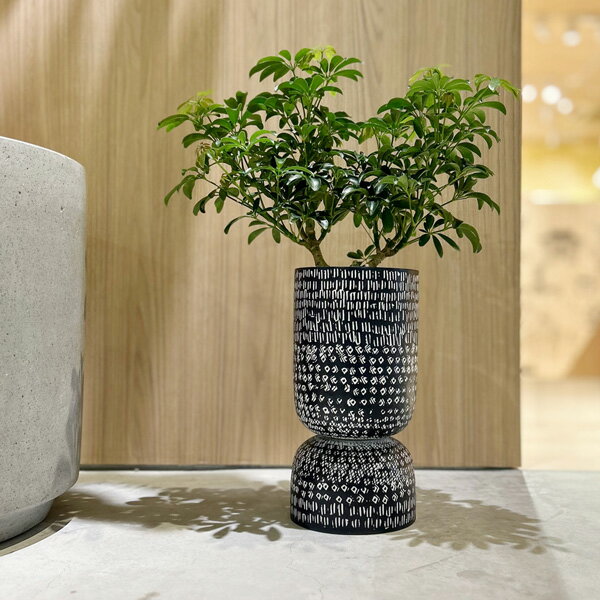 楽天市場】クローバー(花瓶|インテリア小物・置物 楽天市場】クローバー(花瓶|インテリア小物・置物
