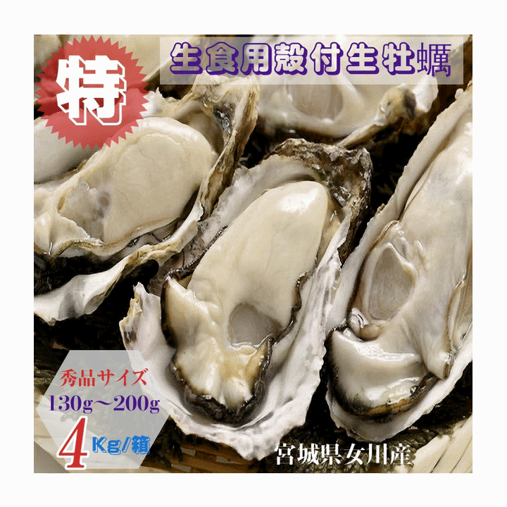 ■商品名:殻付き生牡蠣（秀品サイズ） ■内容量: 4kg /箱 (130g~200g) ■生産地：宮城県女川産 ■保存方法：要冷蔵 ■用途：生食用 ■消費期限：生食の場合は発送日から4日間、加熱の場合は発送日から5日間、冷凍された場合は3ヶ...