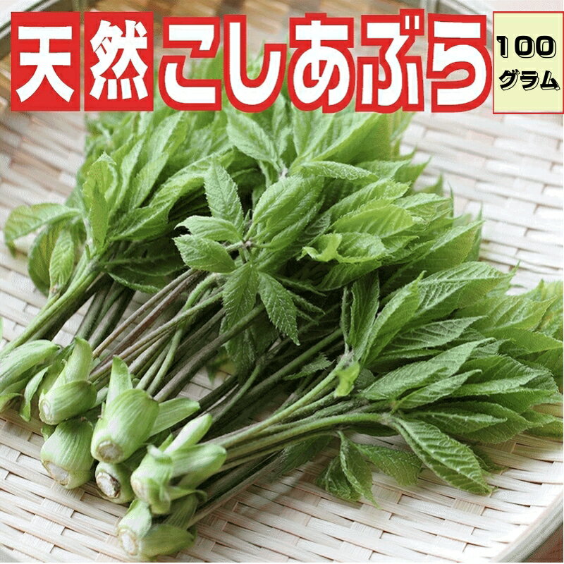 飯豊連峰・朝日連峰は山菜の宝庫です！ ご注文頂いてから、山菜プロがあなたの代わりに奥山へ取りに行きます！ 採れたての山菜から選りすぐりの品をお届け！ 山菜の女王とも呼ばれる「コシアブラ」は、山菜の王様「タラの芽」と並んで春〜初夏に楽しめると...