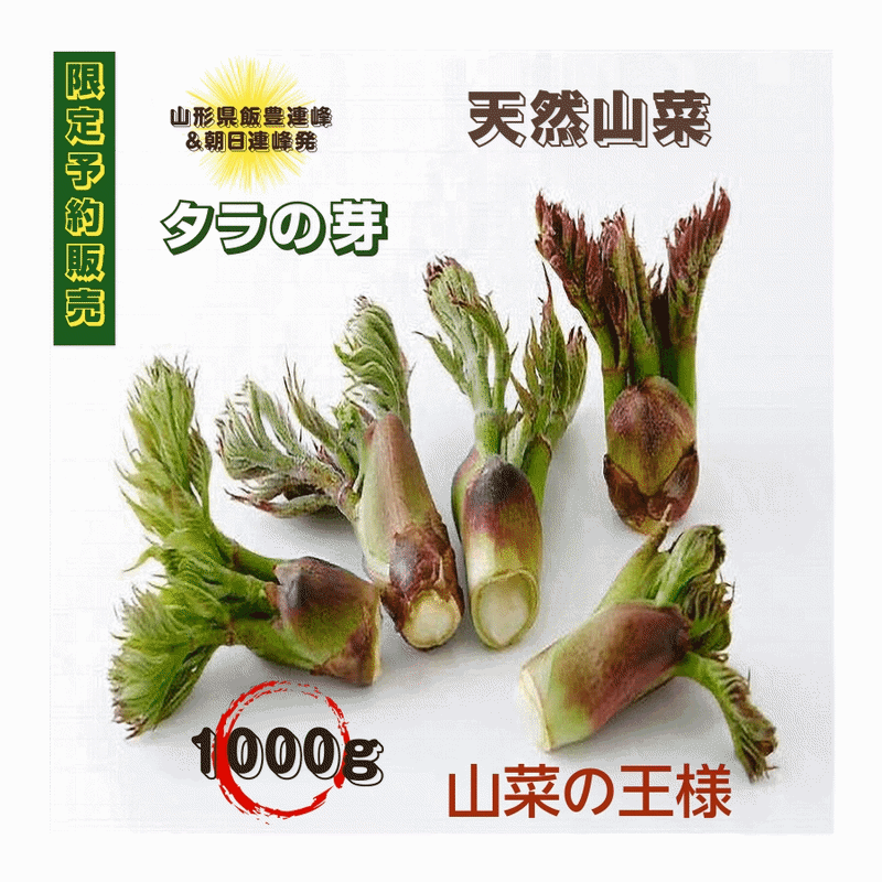数ある山菜の中でも一番人気は、「タラの芽」まさに「山菜の王様」です。 最適な料理として食べるには、山菜天ぷらが代表格です！ 全国各地区に分布しますが、やはり雪国の長い冬を越え、短い春に一気に成長したものが一番良質です。 他の山菜でもそうです...