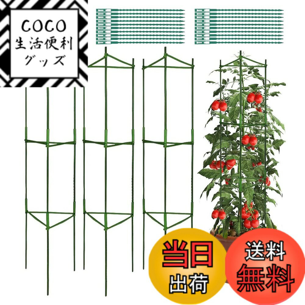 商品情報商品の説明主な仕様 【誘引支柱】園芸支柱は植物を支え、まっすぐに健康的に成長させ、より多くの太陽を受けて果物や野菜がもっと実ります。悪天候でも植物の茎が曲がったり絡まったりしないように保護することが出来ます。【自由に組み合わせ】この...
