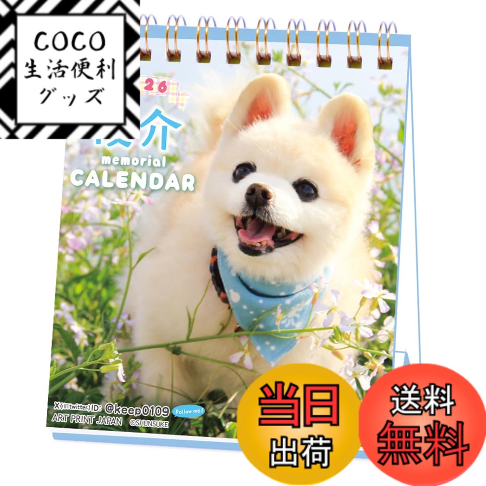 商品情報商品の説明ぬいぐるみのようなかわいさが大人気の柴犬カットのポメラニアン・俊介のカレンダーです。主な仕様 ぬいぐるみのようなかわいさが大人気の柴犬カットのポメラニアン・俊介のカレンダーです。サイズ：129x107mm54枚つづりリング仕様