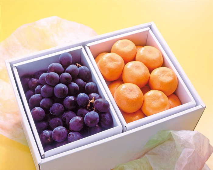 ■お中元専用商品となります。商品出荷日：6月12日から8月6日ごろ 　 ■商品紹介：夏の果物ギフトには欠かせない｢巨峰｣と｢ハウスみかん｣のセットをお届け。 ■商品内容：長野県産種なし巨峰約400g×2房・愛知県産または静岡県産ハウスみかん...