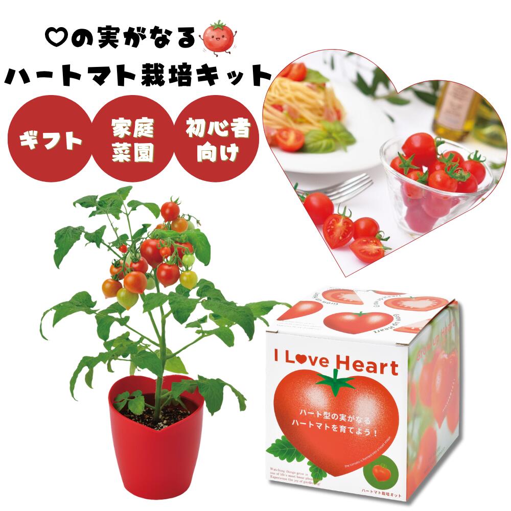 【かわいいハート型の実がなる♪】 おうちで気軽に育てられる、ミニトマト栽培キットです。 ころんとしたハート型の実をつける「ハートブレイカー」という品種を採用。見た目にも可愛らしく、育てる楽しさと収穫のワクワクを味わえます。 実のサイズは約2...
