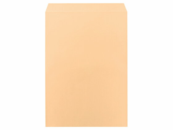 【仕様】●規格サイズ：B3用●寸法：縦525×横375mm●紙厚：100g／m2●郵便番号枠なし●注文単位：1パック（25枚）●大きめ書類も折らずに収納。【検索用キーワード】クラフト封筒　封筒　クラフト紙　ツバメコウギョウ　つばめ工業　つば...