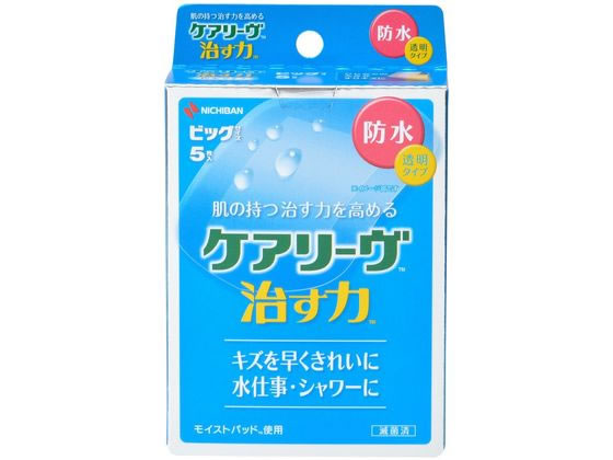 【仕様】●サイズ：ビッグ（60mm×80mm／パッド部35mm×45mm）●管理医療機器　家庭用創傷パッド●医療機器認証番号：226ADBZX00202000●注文単位：1箱（5枚）生産国：日本商品区分：管理医療機器メーカー：ニチバン株式会...