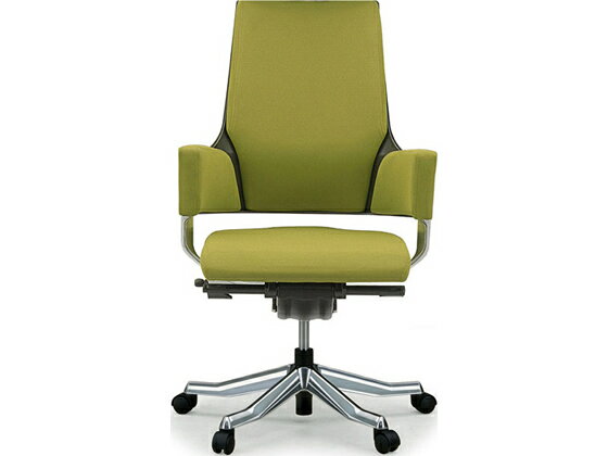 【商品説明】肌ざわりのよい布地と、座面のクッションには弾力性の高いモールドクッションを採用。シンクロリクライニング機能によって脚への圧迫感を軽減し快適にお使い頂けます。又、リクライニングの硬さを変えられるテンション調整機能付き。【仕様】●外...