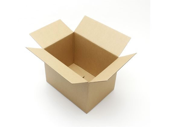 【商品説明】箱を広げると自動で底が組み上がるワンタッチ式です。テープ不要で作業性アップ！【仕様】●サイズ：内寸法：横310×縦220×高220mm●材質：Bフルート段ボール●入数：20枚【備考】※メーカーの都合により、パッケージ・仕様等は予...
