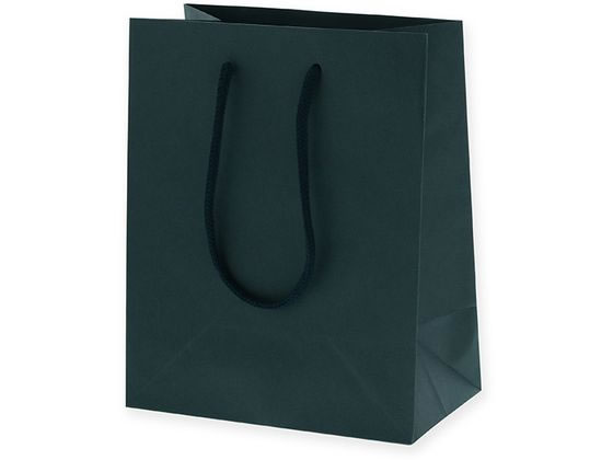 【商品説明】落ちついたカラー無地。手紐も同色系でコーディネートしました。口ボール・底ボール付【仕様】●カラー：紺●サイズ：幅200×マチ120×高250mm●材質：未晒クラフト紙120g●手紐：アクリル紐●入数：10枚【備考】※メーカーの都...