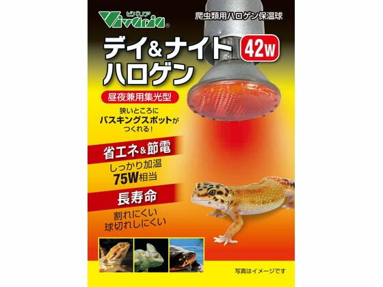 【商品説明】爬虫類用のハロゲン保温球。狭いところにバスキングスポットが作れる赤い光の昼夜兼用の集光型照射タイプ。【仕様】●材質：ガラス、他●サイズ：直径63×高さ80mm●重量：約80g●口金：E−26【備考】※メーカーの都合により、パッケ...