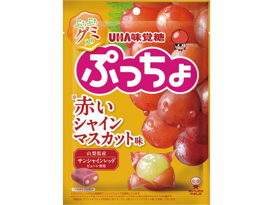 【商品説明】赤いシャインマスカット味。サンシャインレッドの見た目と味わいを、「赤いシャインマスカット味」と表現しております。山梨県産のサンシャインレッドピューレを使用し、濃厚な甘さと、さっぱりとした酸味を楽しむことができます。【仕様】●注文...