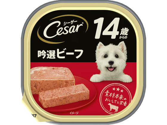 【商品説明】いつまでも美味しく食べてほしいから、シニア犬も食べやすいやわらか設計。DHA配合で脳の健康維持。【仕様】●内容量：100g●原材料：肉類（チキン、ビーフ、家禽等）、フィッシュオイル（DHA源）、チコリー繊維、ビートパルプ、ガーリ...
