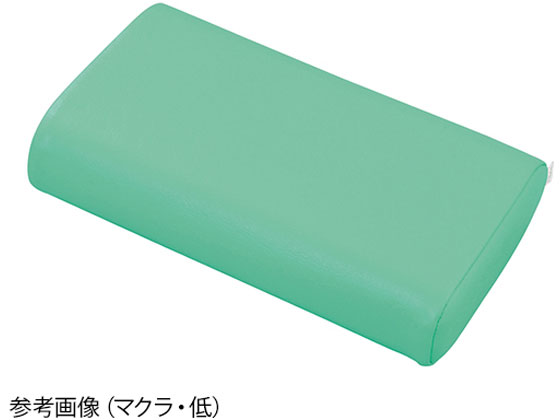 【商品説明】●リバースファスナーを採用していますので、安全にご使用いただけます。●アルコールや次亜塩素酸で清拭できます。【仕様】●色：ライトグリーン●幅×奥行×高さ（mm）：290×160×75●材質：中身／ウレタン、カバー／抗菌・防汚レザ...
