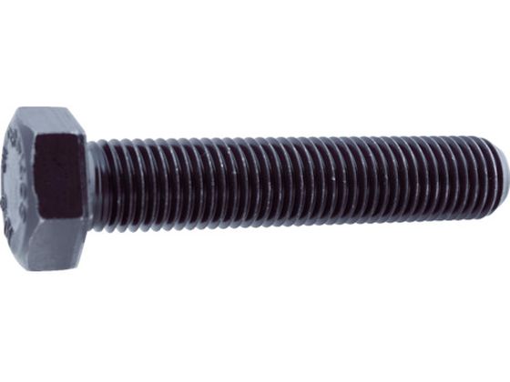 【仕様】●型番：Y112-1655●入数：2本●寸法（mm）d：M16 ●寸法（mm）L：55 ●強度区分：10．9●クロムモリブデン鋼（SCM435）相当【備考】※メーカーの都合により、パッケージ・仕様等は予告なく変更になる場合がございま...