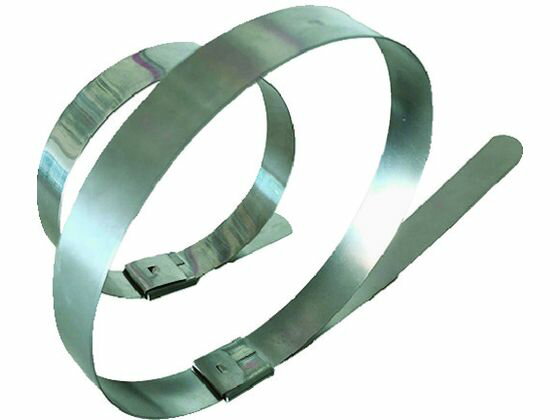 【商品説明】●ステンレス製のため強い強度と優れた耐酸性、耐薬品性と耐衝撃性を持っています。●先端1mmでも簡単にロックがかかり、ボールとタイの強い摩擦力で強力な結束力が得られるため外れません。●結束バンド全体の面取りがきれいに施されているの...