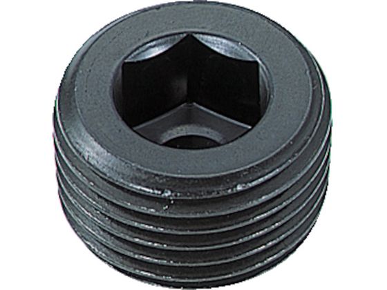 【商品説明】●配管用止め栓です。【仕様】●型番：B83-0112●入数：6個●呼び寸法：PT1／2 ●長さt（mm）：12．5±0．4 ●二面幅B（mm）：10 ●m（mm）：6．0●冷間圧造用炭素鋼線材（SWCH） ●表面処理：黒染め仕上...