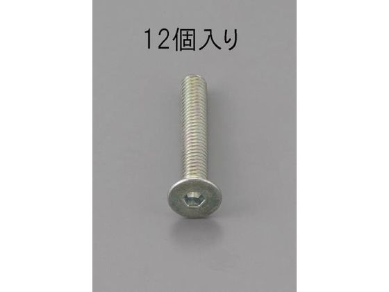 【仕様】●材質：鉄（三価クロメート）●並目ねじ●全ねじ●サイズ：M5×6●ピッチ：0．8●入数：12個【備考】※メーカーの都合により、パッケージ・仕様等は予告なく変更になる場合がございます。【検索用キーワード】エスコ　ESCO　えすこ　M5...
