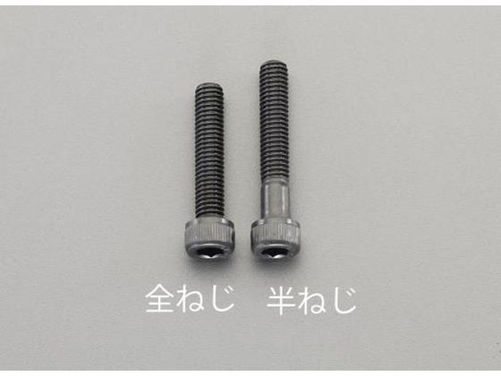 【仕様】●材質：ステンレス（SSブラックメッキ）●並目ねじ●サイズ：M4×10●ピッチ：0．7●入数：12●全ねじ【備考】※メーカーの都合により、パッケージ・仕様等は予告なく変更になる場合がございます。【検索用キーワード】エスコ　ESCO　...