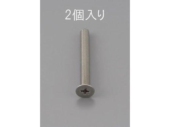 【仕様】●材質：ステンレス●並目ねじ●全ねじ●頭形状：（＋）皿頭●サイズ：M6×40●ピッチ：1●入数：2個【備考】※メーカーの都合により、パッケージ・仕様等は予告なく変更になる場合がございます。【検索用キーワード】エスコ　ESCO　えすこ...