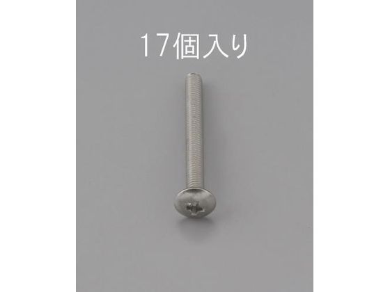 【仕様】●材質：ステンレス●並目ねじ●全ねじ●頭形状：（＋）トラス頭●サイズ：M2×10●ピッチ：0．4●入数：17個【備考】※メーカーの都合により、パッケージ・仕様等は予告なく変更になる場合がございます。【検索用キーワード】エスコ　ESC...