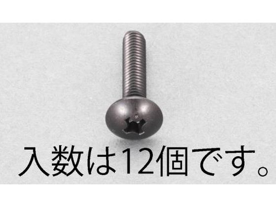 【仕様】●材質：ステンレス（SSブラックメッキ）●並目ねじ●全ねじ●（＋）トラス頭●サイズ：M4×5●ピッチ：0．7●入数：12【備考】※メーカーの都合により、パッケージ・仕様等は予告なく変更になる場合がございます。【検索用キーワード】エス...