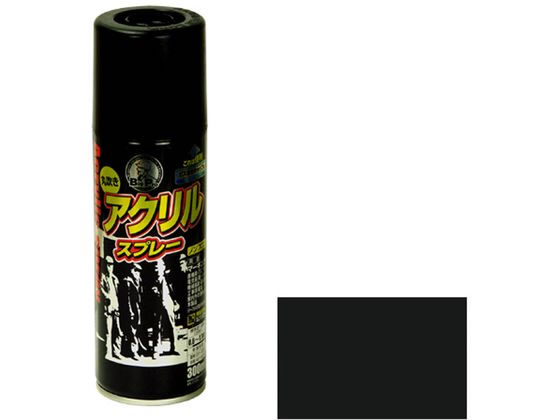 【商品説明】●超速乾タイプです。【仕様】●規格：300mL　●カラー：ツヤ消し黒　●重量：333g【備考】※メーカーの都合により、パッケージ・仕様等は予告なく変更になる場合がございます。【検索用キーワード】アサヒペン　あさひぺん　BIGPR...