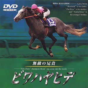 【中古】ビワハヤヒデ 無敵の兄貴 [DVD]【メーカー名】ポニーキャニオン【メーカー型番】【ブランド名】ポニーキャニオン【商品説明】ビワハヤヒデ 無敵の兄貴 [DVD]当店では初期不良に限り、商品到着から7日間は返品をお受けいたします。イメ...