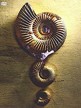 【中古】SKETCH [DVD]【メーカー名】ソニー・ミュージックレコーズ【メーカー型番】【ブランド名】ソニーミュージックエンタテインメント【商品説明】SKETCH [DVD]当店では初期不良に限り、商品到着から7日間は返品をお受けいたしま...