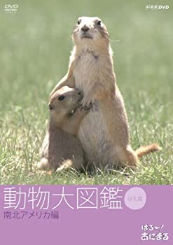 【中古】はろ~!あにまる 動物大図鑑 5 南北アメリカ編 [DVD]【メーカー名】NHKエンタープライズ【メーカー型番】【ブランド名】Nhk エンタープライズ【商品説明】はろ~!あにまる 動物大図鑑 5 南北アメリカ編 [DVD]当店では初...