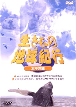【中古】生きもの地球紀行 太平洋編 [DVD]【メーカー名】ソニー・ピクチャーズ エンタテインメント【メーカー型番】【ブランド名】【商品説明】生きもの地球紀行 太平洋編 [DVD]イメージと違う、必要でなくなった等、お客様都合のキャンセル・...