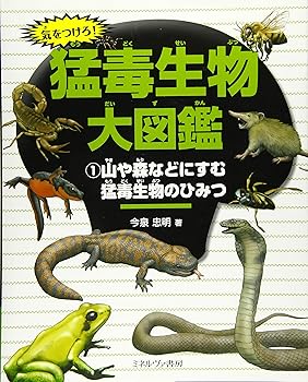 【中古】(非常に良い)山や森などにすむ猛毒生物のひみつ (気をつけろ！ 猛毒生物大図鑑)【メーカー名】【メーカー型番】【ブランド名】【商品説明】山や森などにすむ猛毒生物のひみつ (気をつけろ！ 猛毒生物大図鑑)初期不良に関する返品 商品到着...