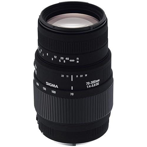 【中古】SIGMA 望遠ズームレンズ APO 70-300mm F4-5.6 DG MACRO シグマ用 フルサイズ対応 508401【メーカー名】【メーカー型番】【ブランド名】シグマ(Sigma) 14616581051 【商品説明】SI...