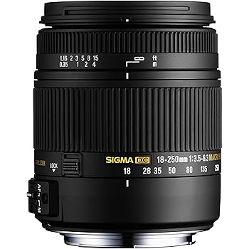 【中古】(非常に良い)SIGMA 高倍率ズームレンズ 18-250mm F3.5-6.3 DC MACRO HSM ソニー用 APS-C専用 883621【メーカー名】【メーカー型番】【ブランド名】シグマ(Sigma) 1461658105...