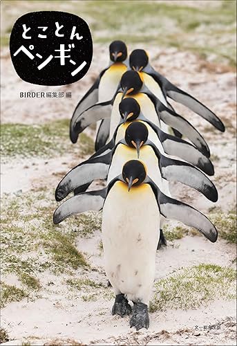 【中古】(非常に良い)とことんペンギン【メーカー名】【メーカー型番】【ブランド名】文一総合出版 紀行文・旅行記, 動物・植物, 動物学, 鳥類学, 旅行ガイド・マップ BIRDER編集部: Editor【商品説明】とことんペンギン※ご購入前...